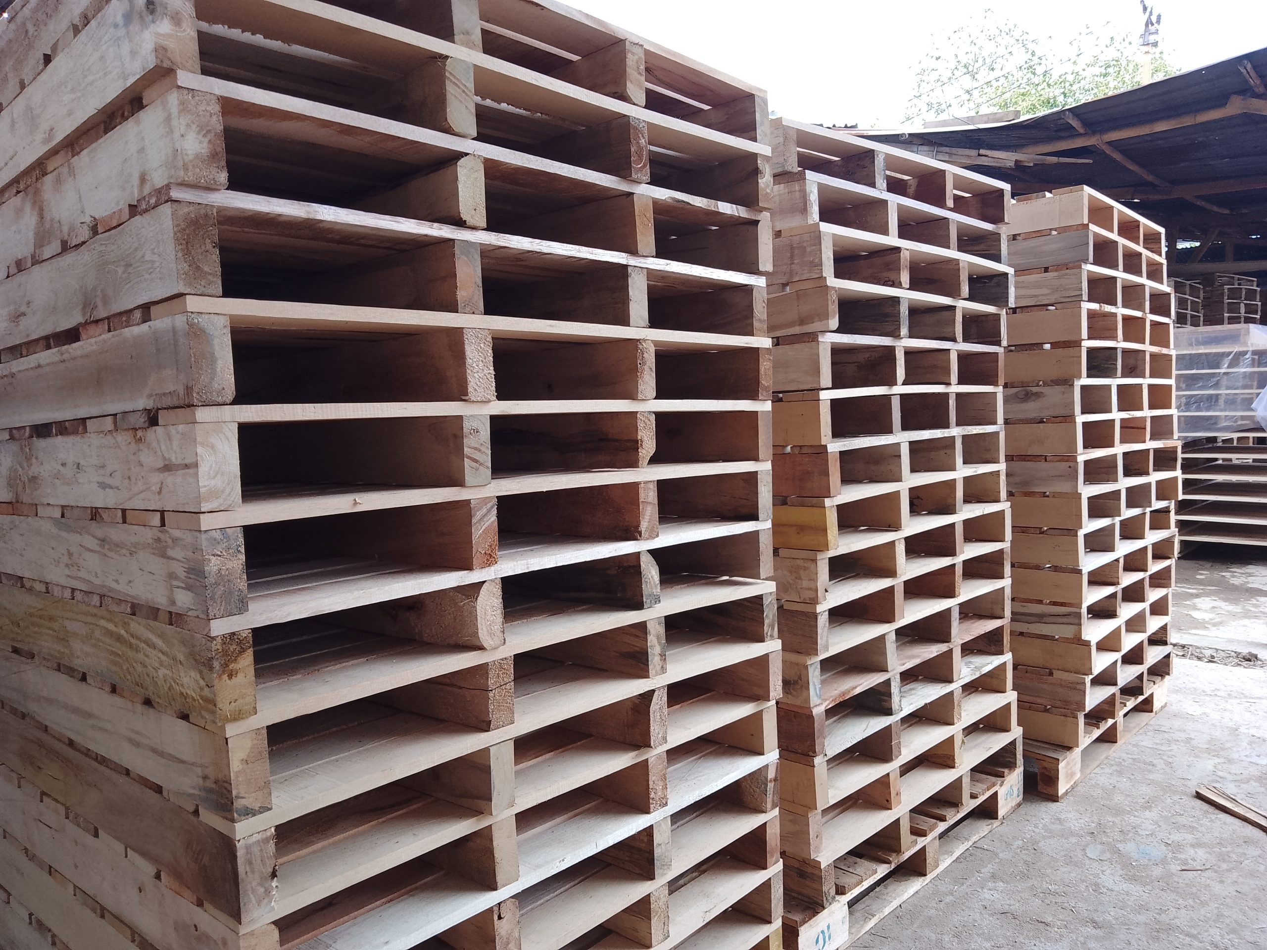 Pallet Kayu Jawa Timur – Supplier Terpercaya - Produsen Pallet Kayu ...